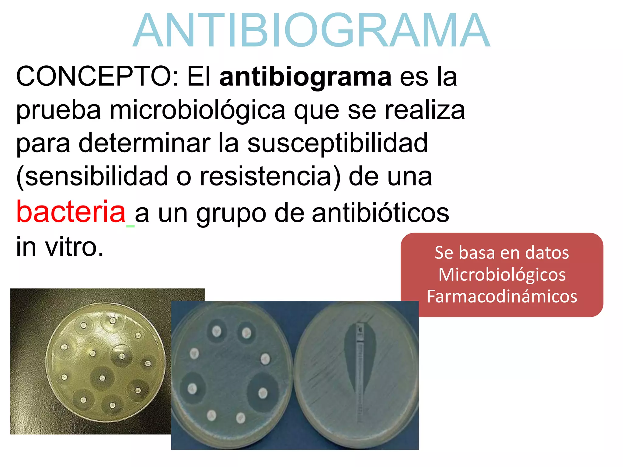 Presentacion antibiograma | PDF