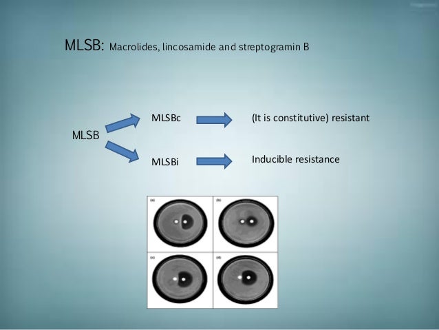 Presentacion artículo