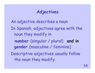 Gender, articles, plural forms | PDF