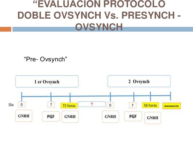 Presentacion avances en protocolos