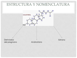 Presentacion bioquimica hormonas sexuales | PPTX