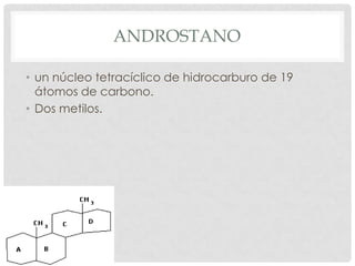 Presentacion bioquimica hormonas sexuales | PPTX