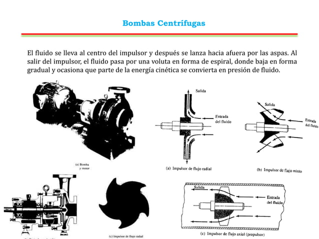 Presentacion bombas centrifugas | PDF | Physics | Science
