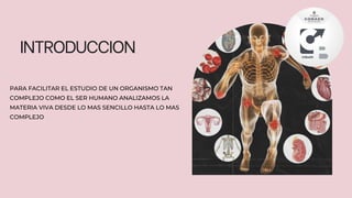 APARATOS Y SISTEMAS DLE CUERPO HUMANO | PPTX