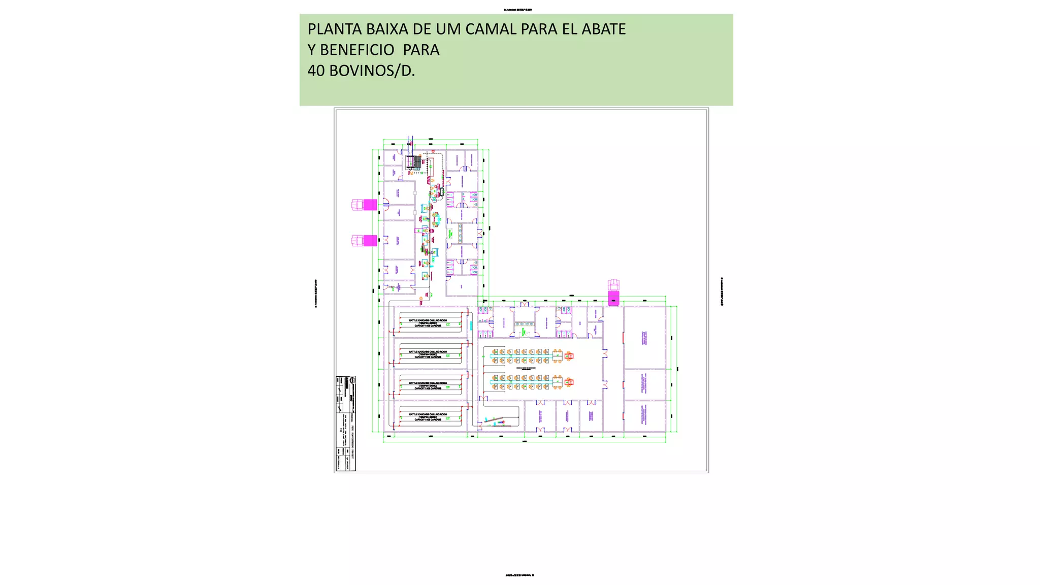 PRESENTACION CAMAL 2.pdf