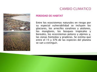 Presentacion cambio climatico perdida de habitats def | PDF