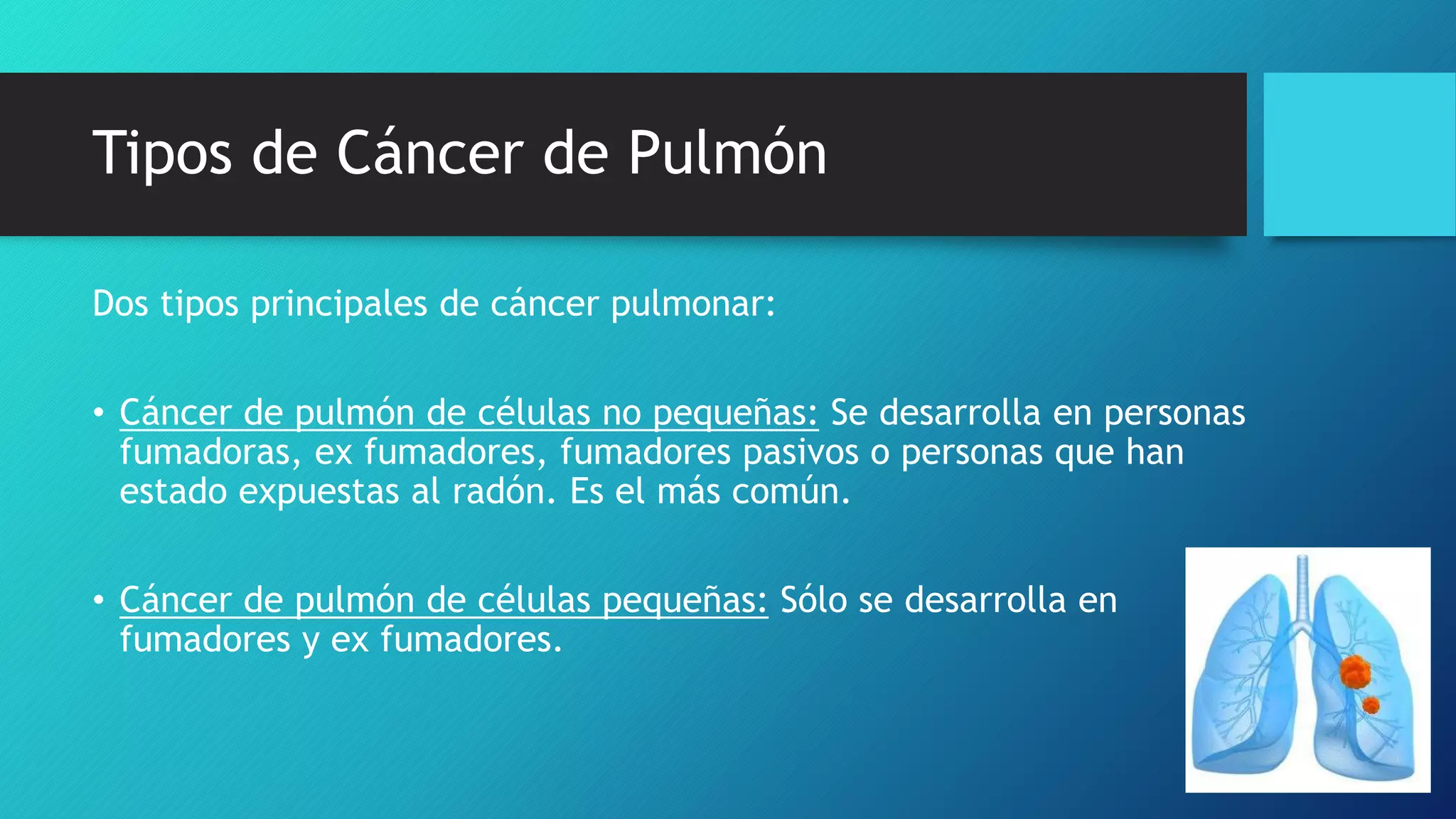 Presentacion Cancer De Pulmon Ppt