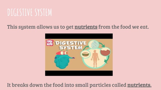 DIGESTIVE SYSTEM | PPT