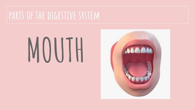 DIGESTIVE SYSTEM | PPTX