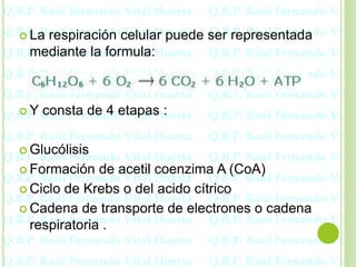 Presentacion celulas componentes y funciones celulares y del dna | PPSX