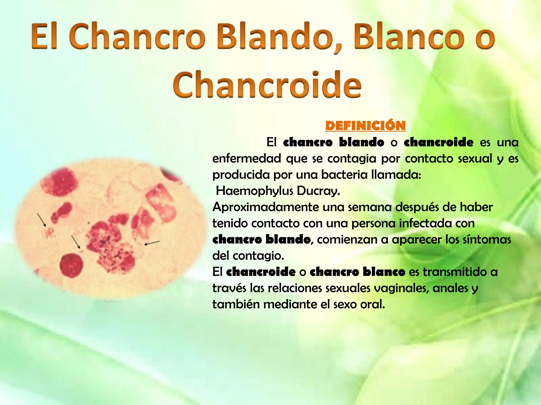 Presentacion chancro blando tarea siso | PPT
