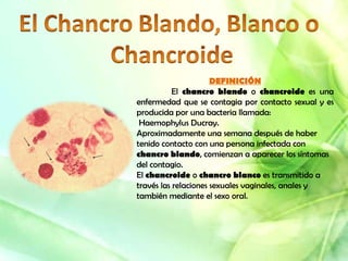 Presentacion chancro blando tarea siso | PPT