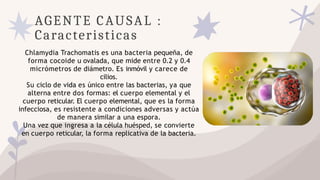 Enfermedades de Transmisión Sexual Clamidia | PPTX