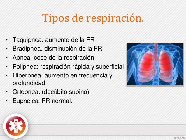 exploracion respiratoooria