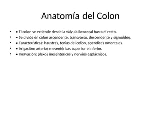 presentacion_colon_anatomia_fisiologia_completa.pptx