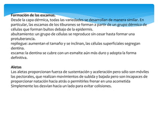 CONDRICTIOS | PPTX