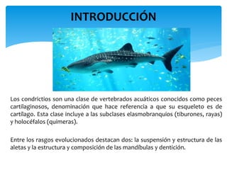 CONDRICTIOS | PPTX