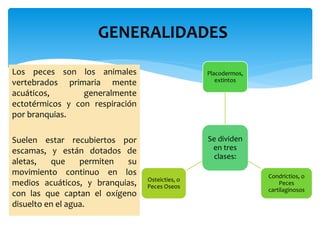 CONDRICTIOS | PPTX