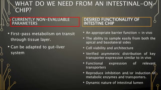 ORGANS-ON-CHIPS | PPTX