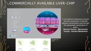 ORGANS-ON-CHIPS | PPTX