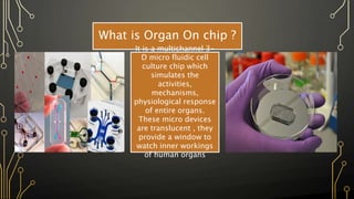 ORGANS-ON-CHIPS | PPTX