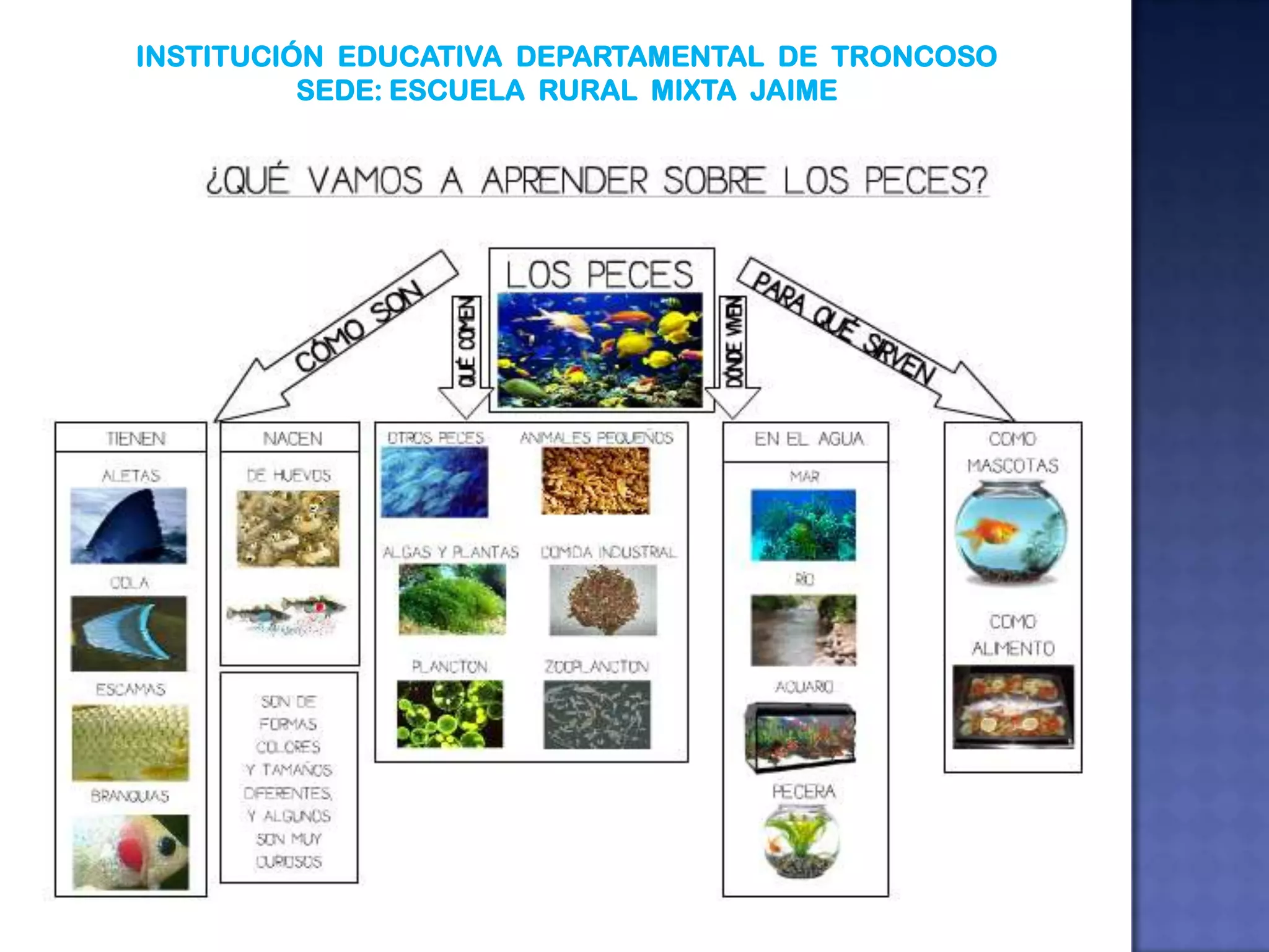 PRESENTACION - CONOCIENDO LOS PECES | PPTX