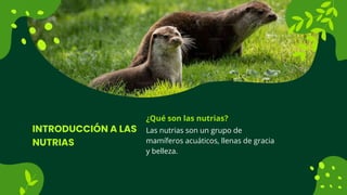 PRESENTACION DE BIOLOGIA-NUTRIAS | PPTX
