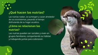 PRESENTACION DE BIOLOGIA-NUTRIAS | PPTX