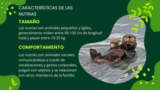 PRESENTACION DE BIOLOGIA-NUTRIAS | PPTX