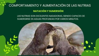 PRESENTACION DE BIOLOGIA-NUTRIAS | PPTX