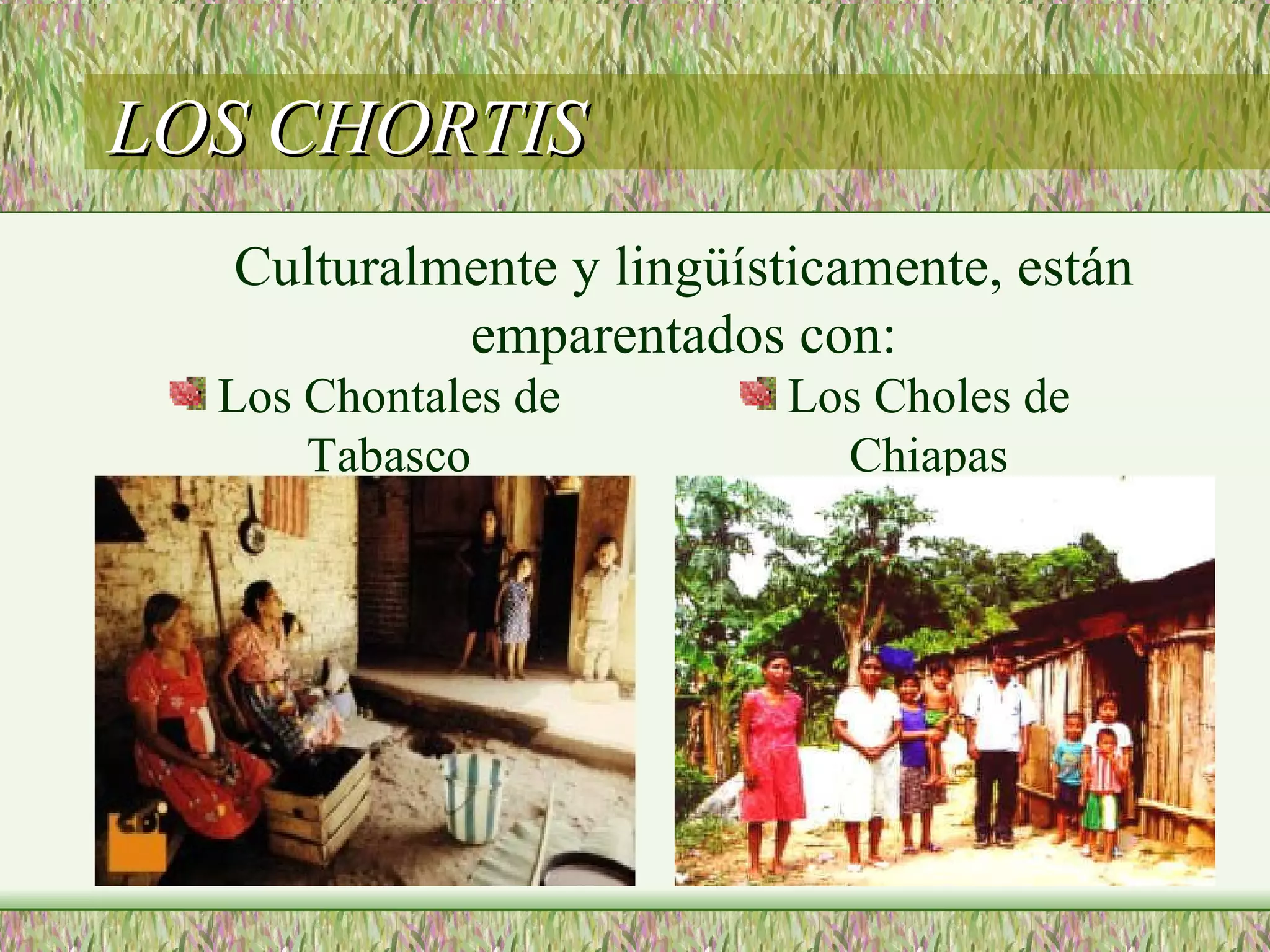 ETNIAS PECH Y CHORTIS DE HONDURAS | PPT