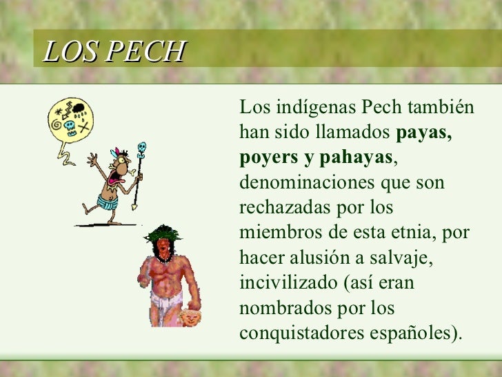 ETNIAS PECH Y CHORTIS DE HONDURAS