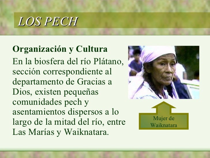 ETNIAS PECH Y CHORTIS DE HONDURAS