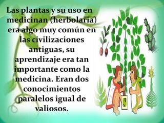 Algunas plantas medicinales. | PPTX