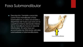Radiologia Dental Haring Jansen- Capitulo 26 | PPTX