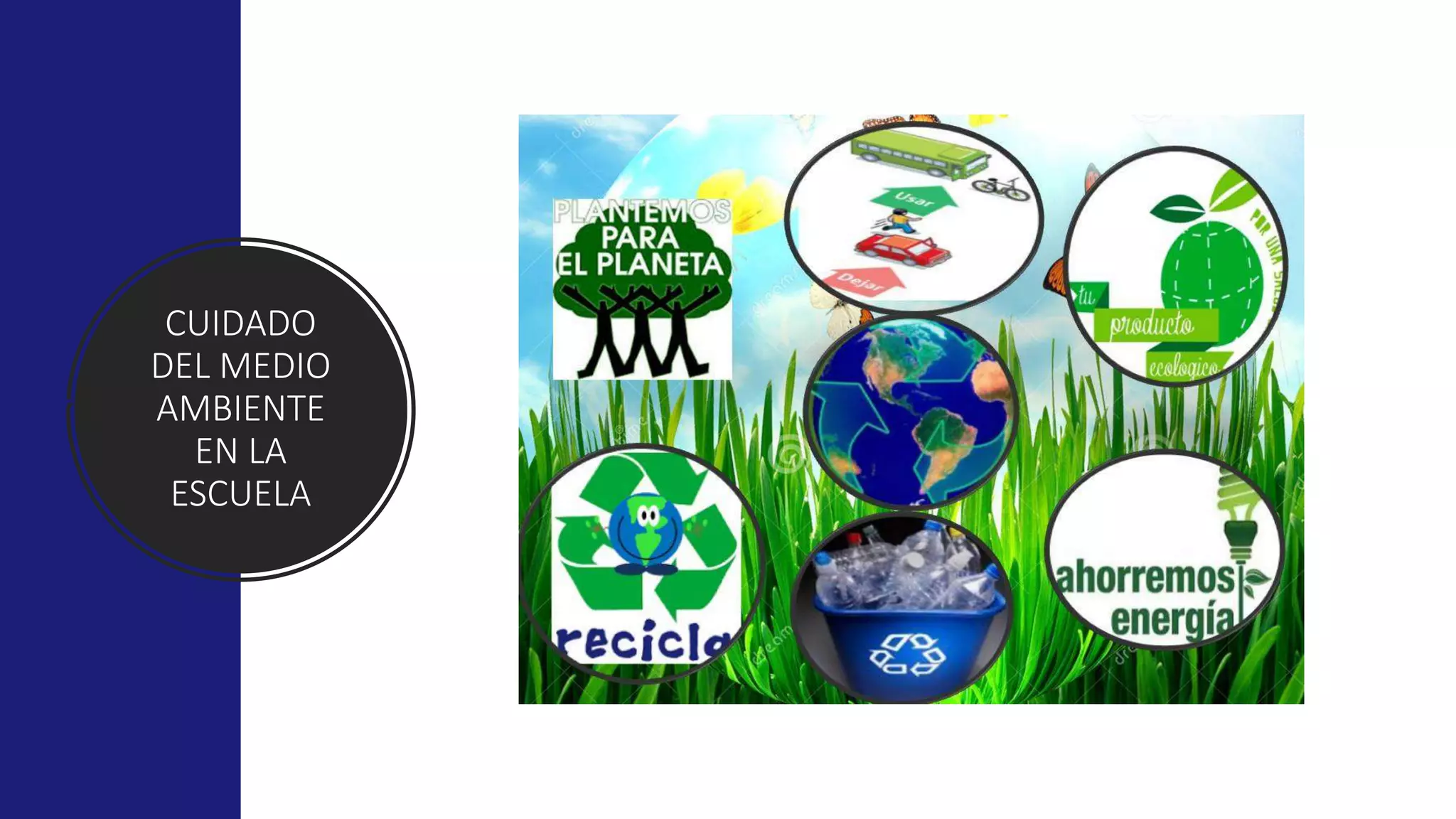 Cuidado del medio ambiente | PPTX