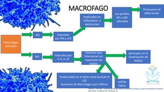 Presentación DE LES FISIOPATO Y CUADRO CLINICO ACTUAL.pptx
