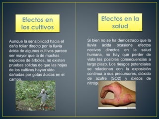 Presentacion de lluvia acida | PPTX