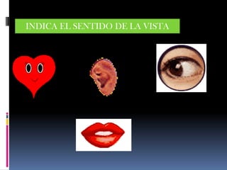 Presentacion de los 5 sentidos | PPTX | Ear, Nose and Throat Conditions ...