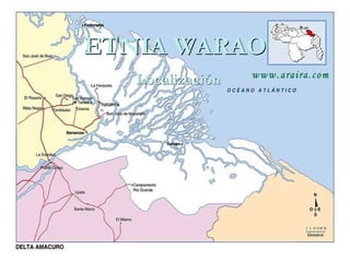 Presentacion del proyecto warao. horizontes venezuela | PDF