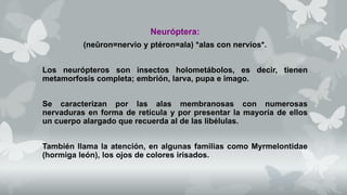 Presentación de neurópteros | PPTX