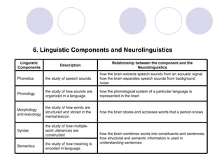 Neurolinguistics Workshop | PPT | Brain and Nervous System Disorders | Diseases and Conditions