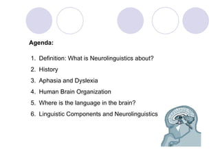 Neurolinguistics Workshop | PPT