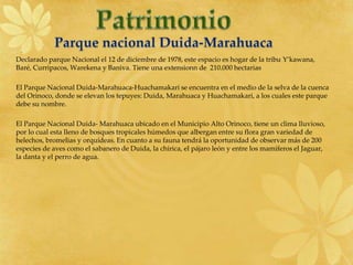 P resentacion de patrimonios | PPTX