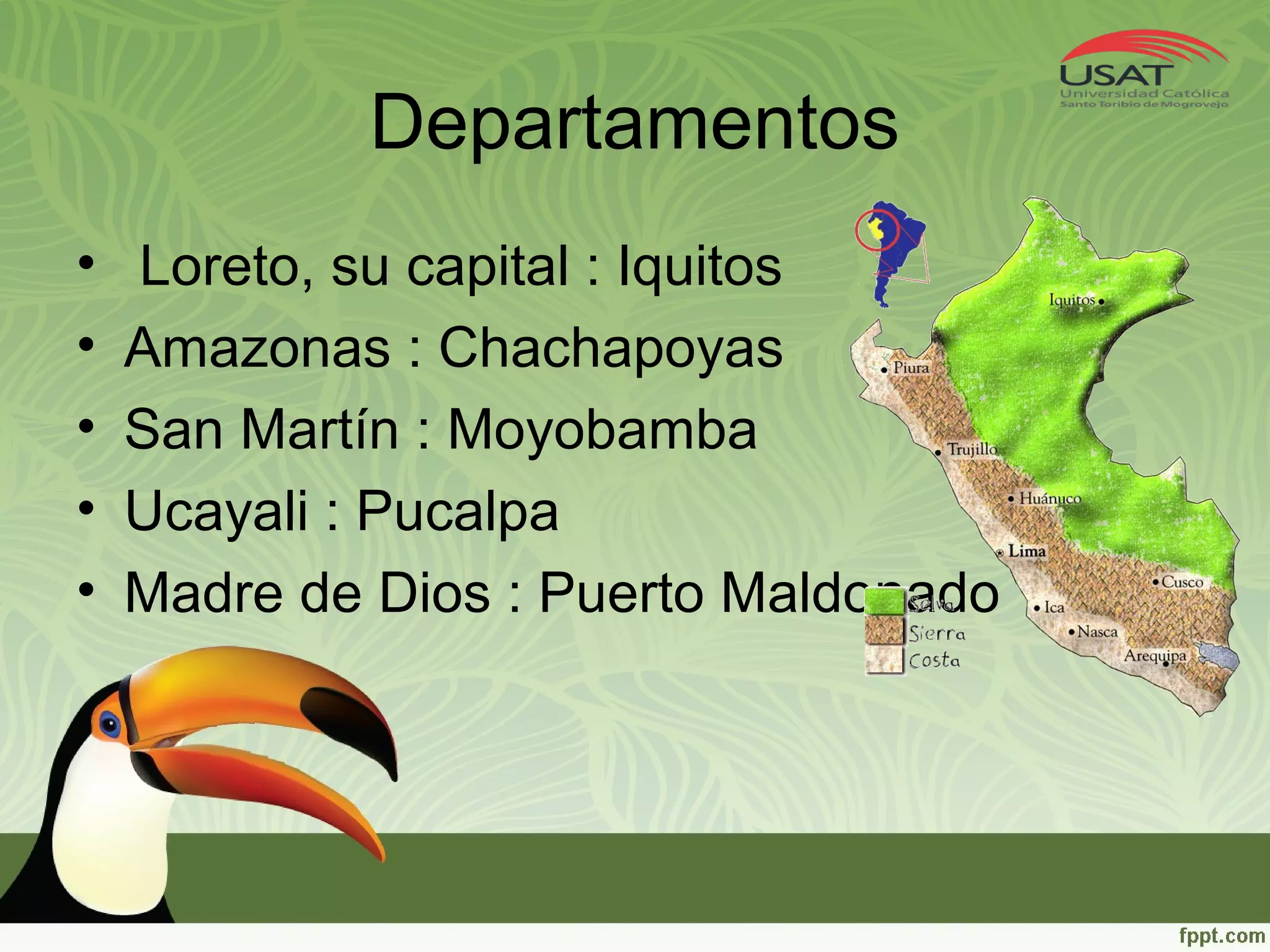Selva Peruana | PPT
