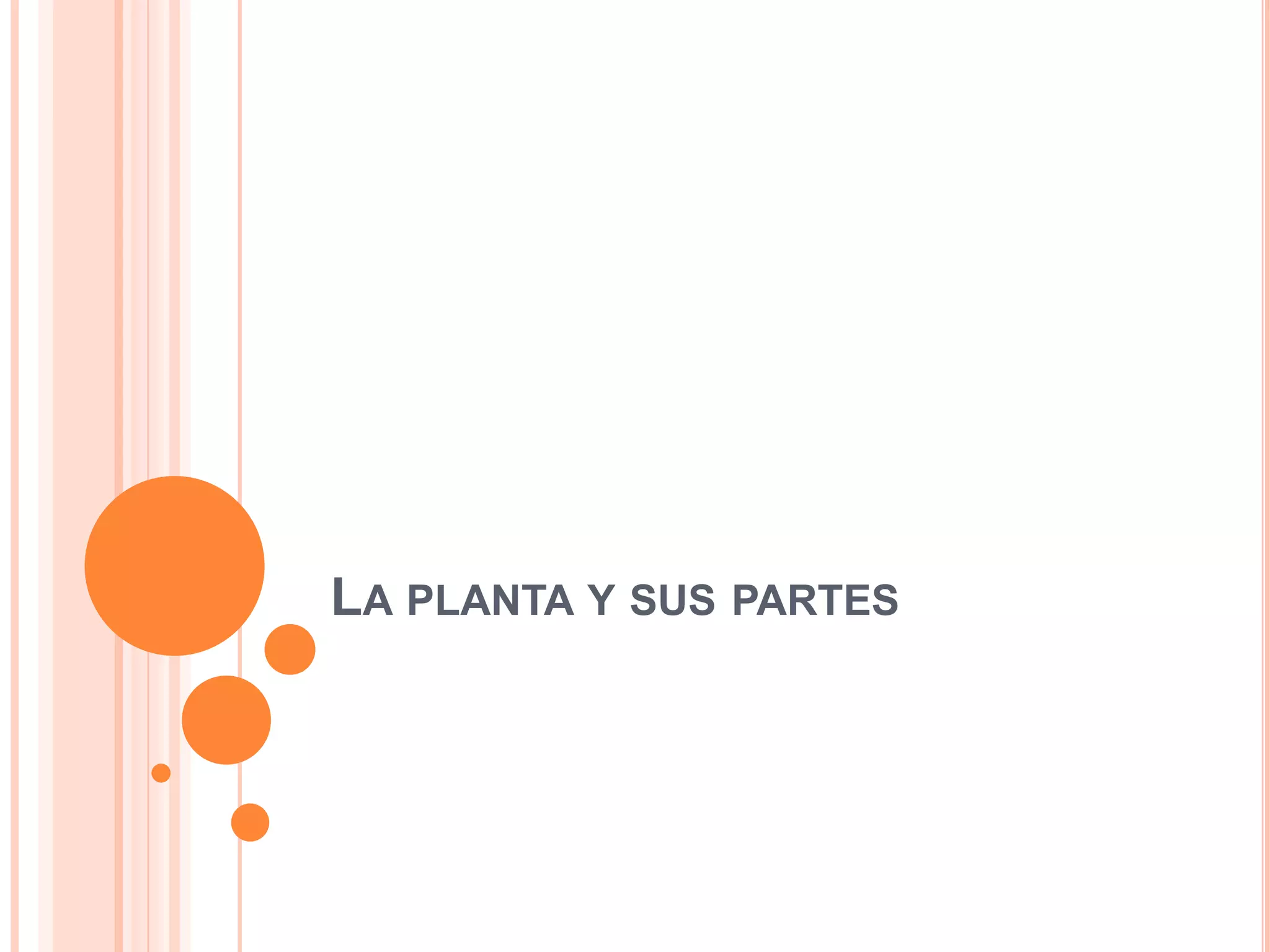 Presentacion de power point de las partes de la planta | PPTX ...