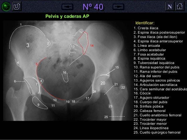 Presentacion de radiologia_normal