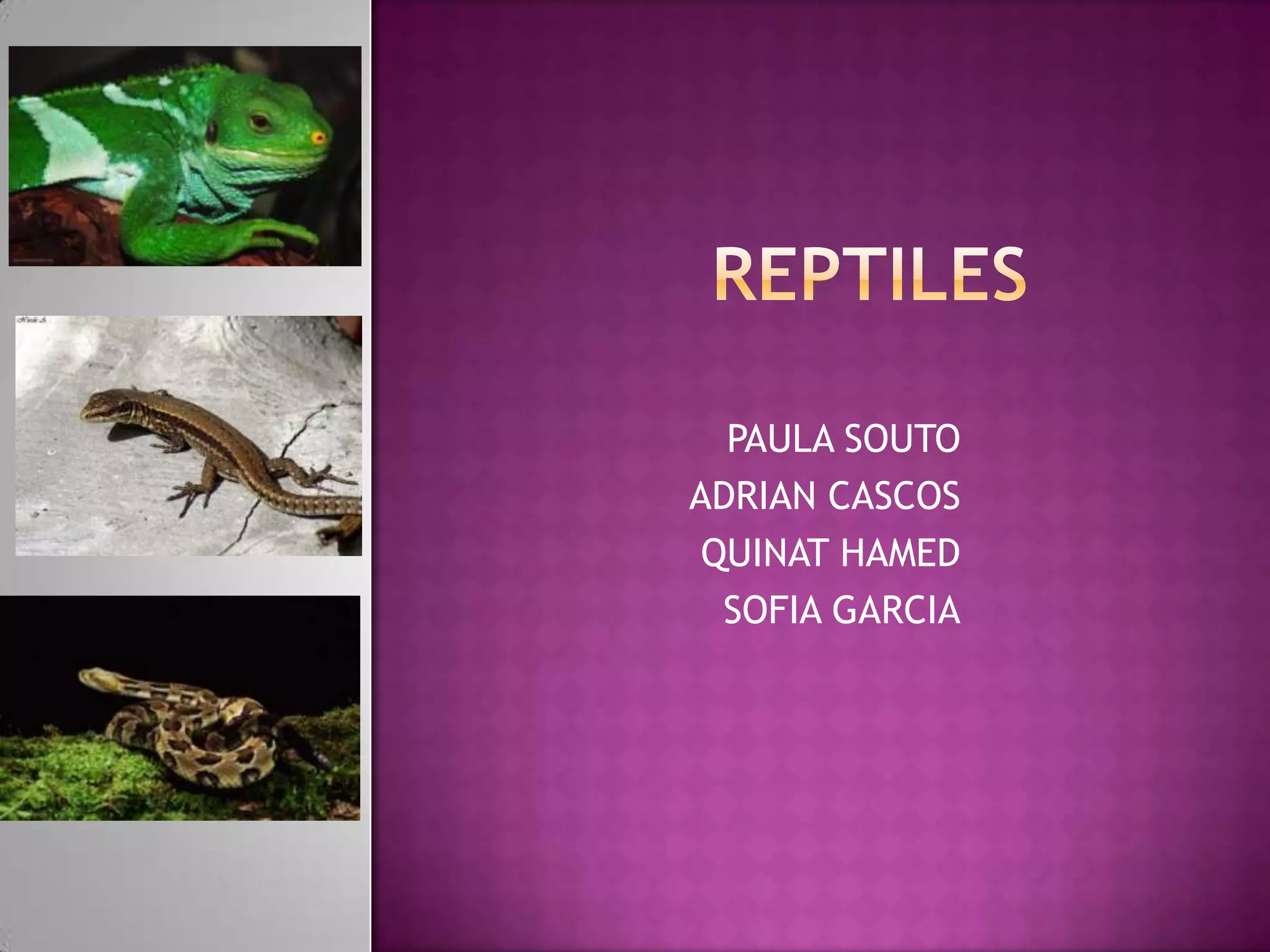 Presentacion de reptiles | PPTX