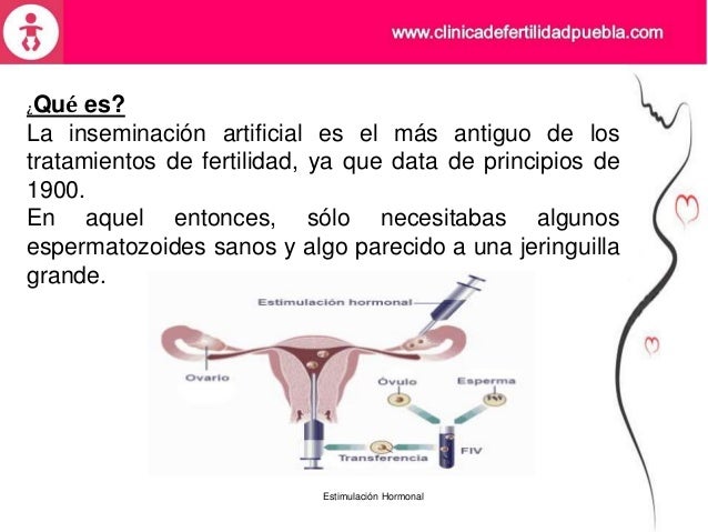 Presentacion descubre el proceso de la inseminacion artificial