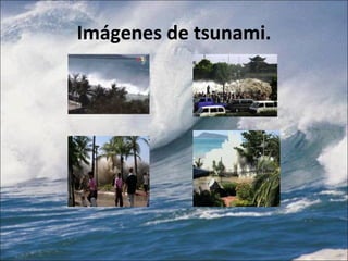 Presentacion De Tsunami | PPT
